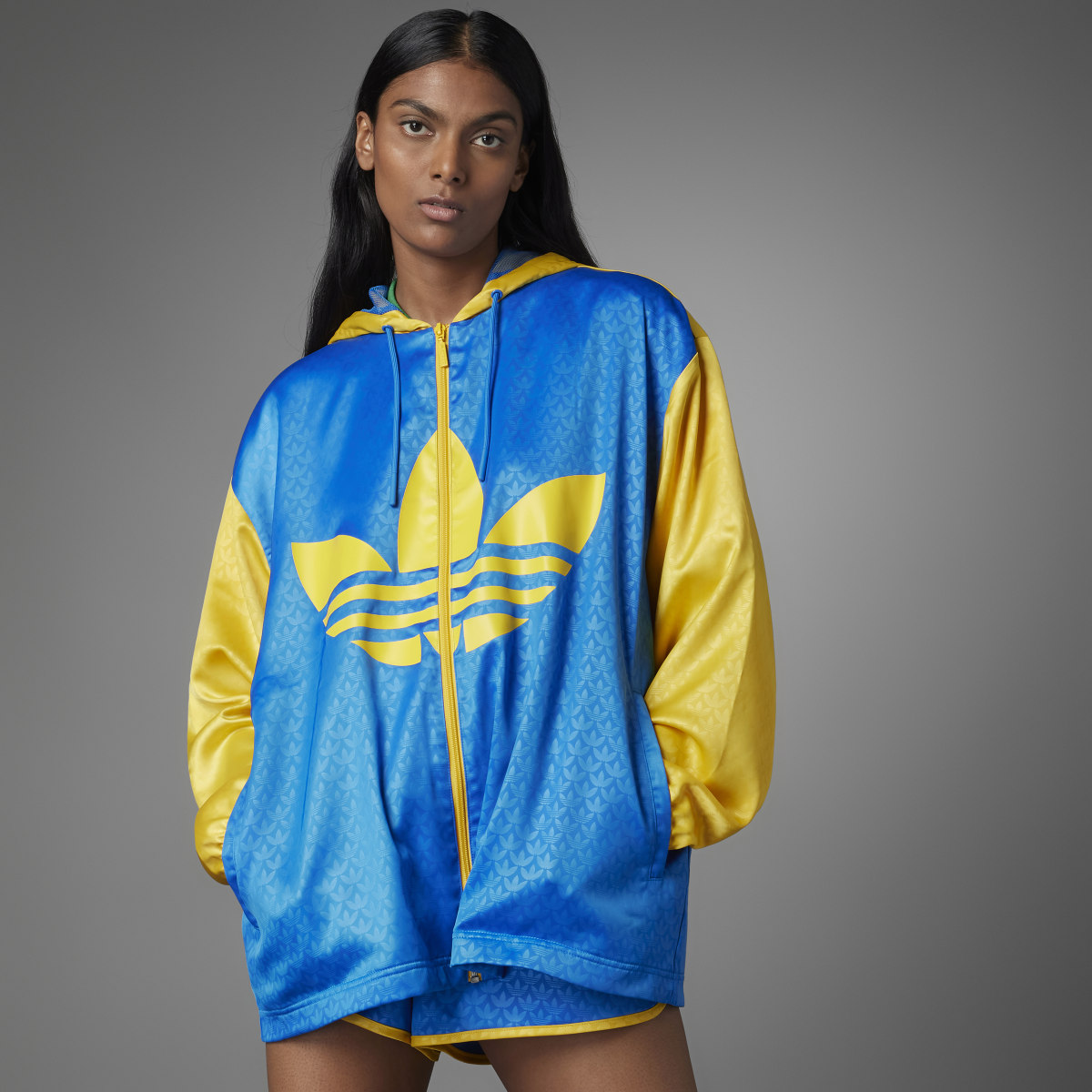 Adidas Adicolor Heritage Now Colorblock Windbreaker - IB2052