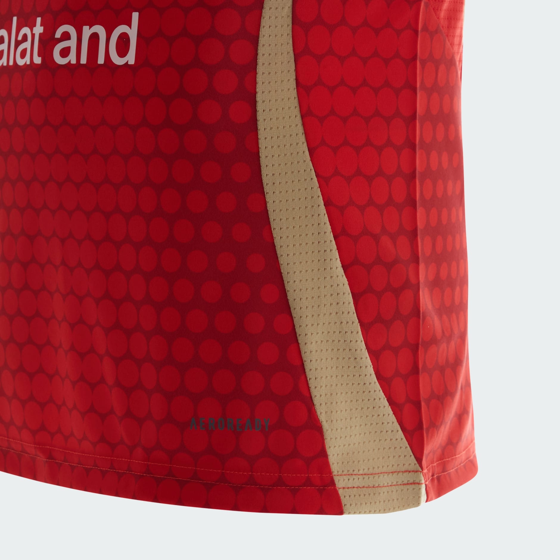 adidas AL AHLY 2024 HOME JERSEY YOUTH - Red | adidas UAE