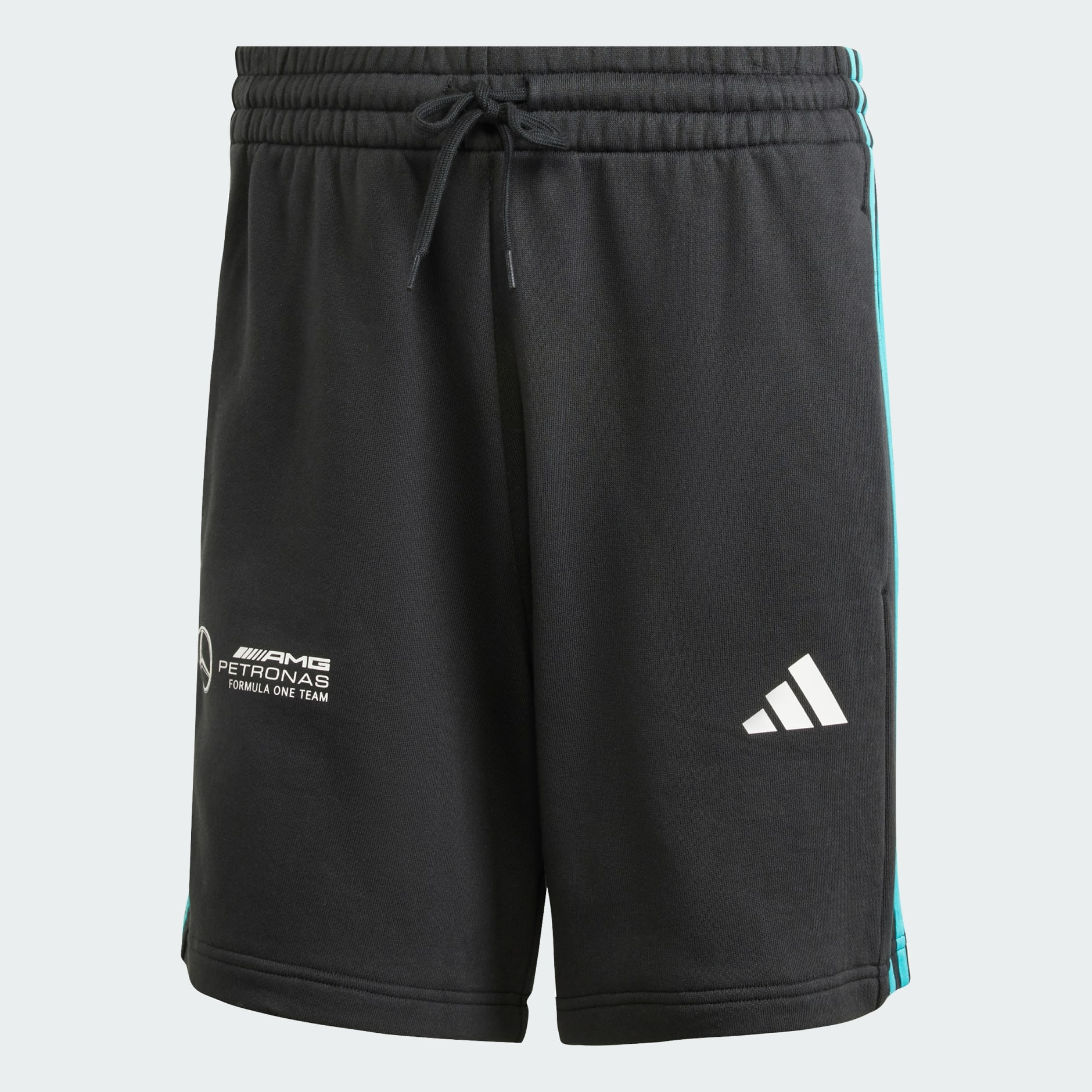 Men's Clothing - MERCEDES - AMG PETRONAS FORMULA ONE TEAM DNA SHORT MEN ...