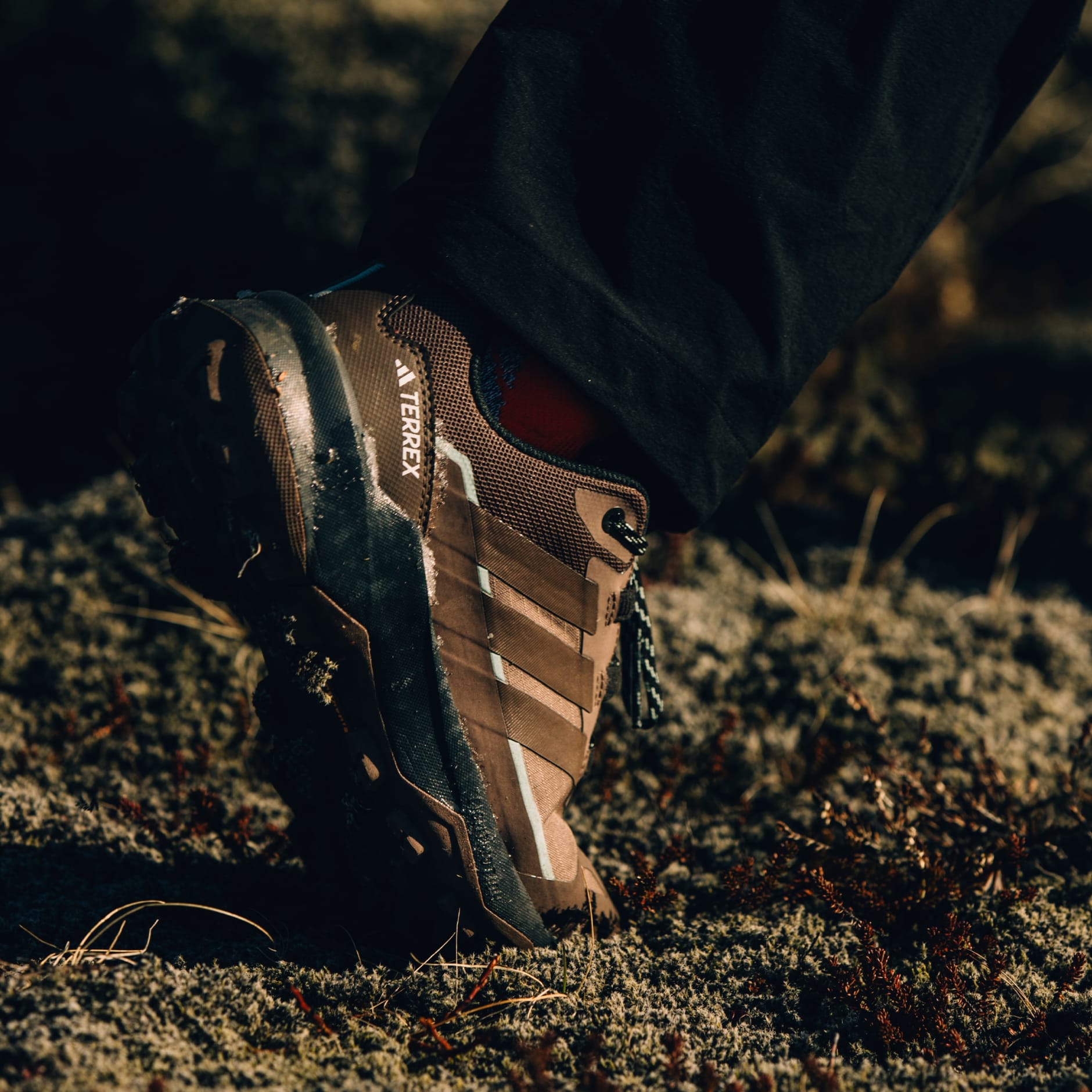 Women's Shoes - Terrex Skychaser AX5 GORE-TEX Hiking Shoes - Brown ...