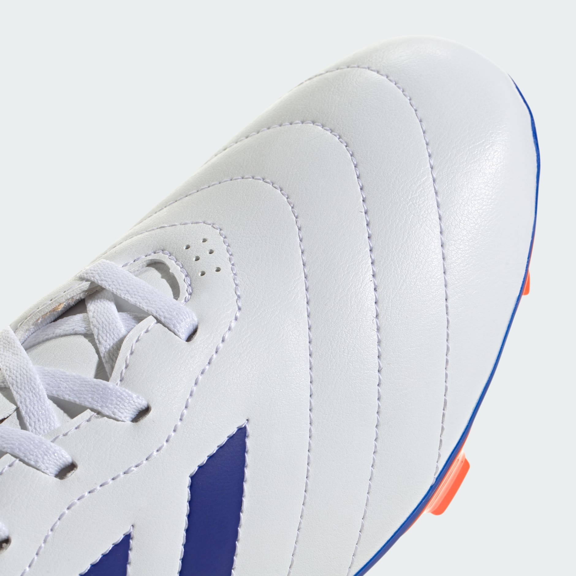 Guayos Goletto VIII Terreno Firme