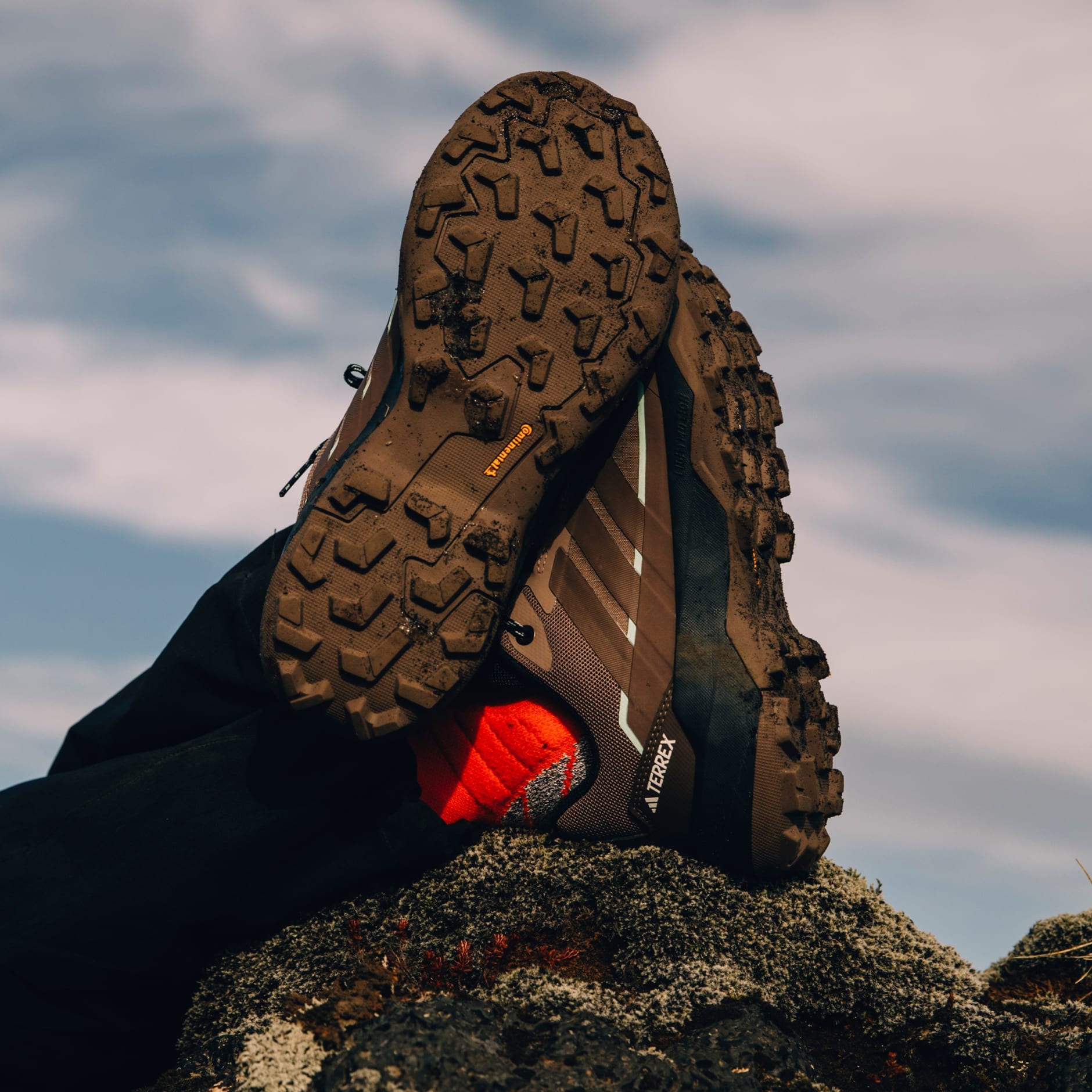 adidas Terrex Skychaser AX5 GORE-TEX Hiking Shoes - Brown | adidas UAE