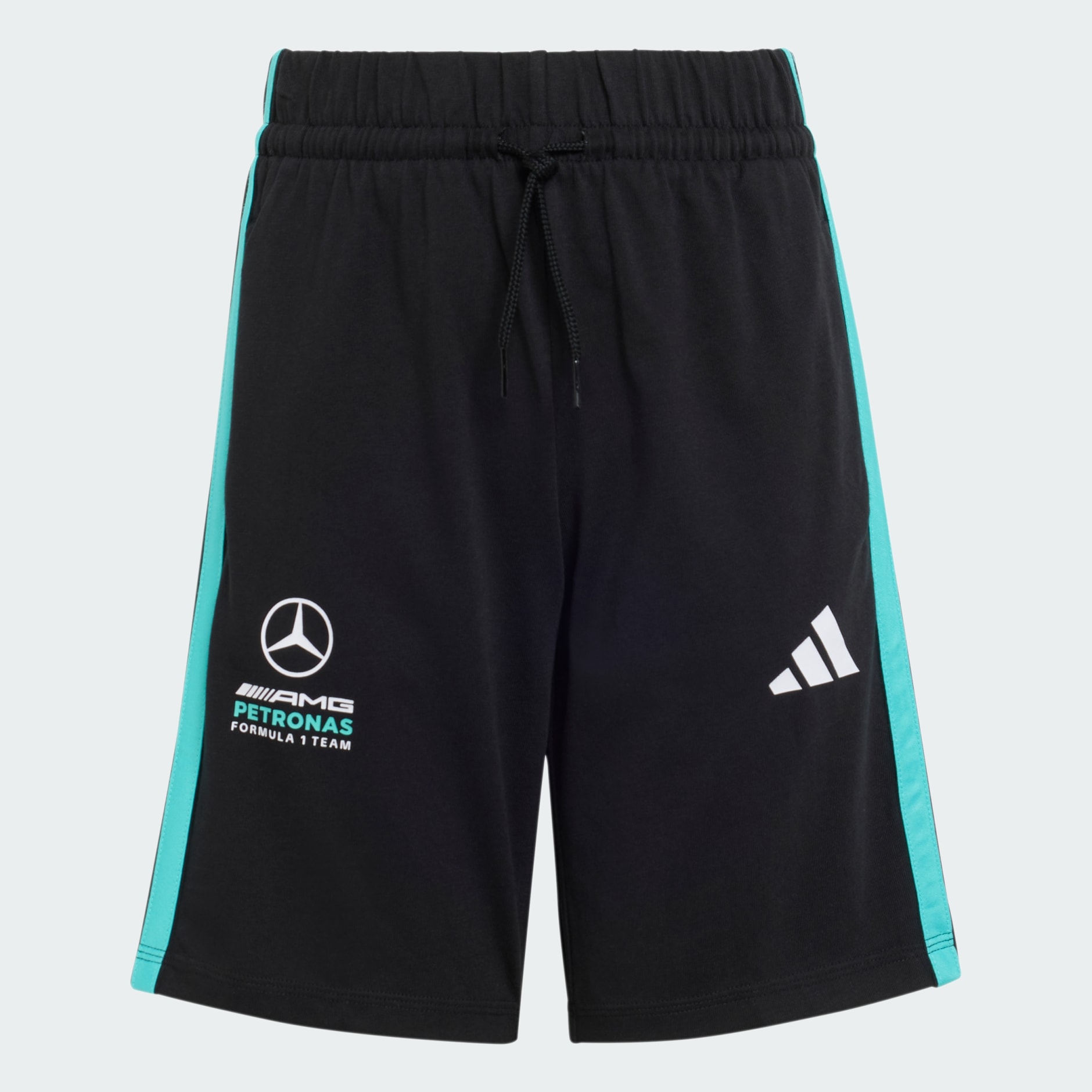 Clothing - MERCEDES - AMG PETRONAS FORMULA 1 TEAM DNA SHORT - Black ...