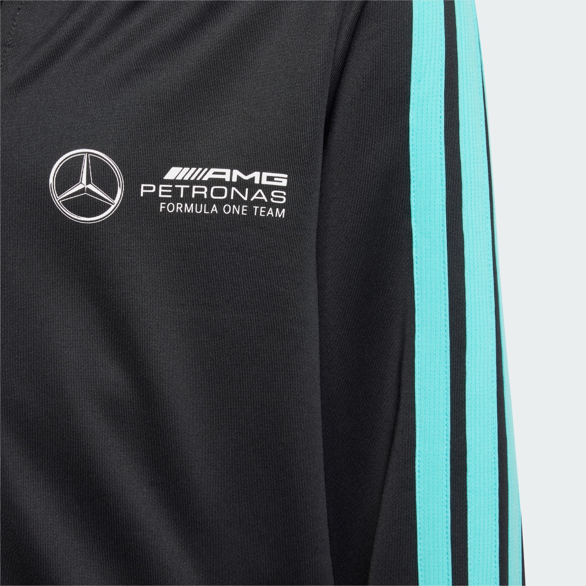 Clothing - MERCEDES - AMG PETRONAS FORMULA ONE TEAM DNA FULL ZIP HOOD ...